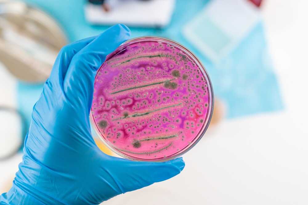 Superbug Defies All Drugs — Kills Fast | DC Watchdog