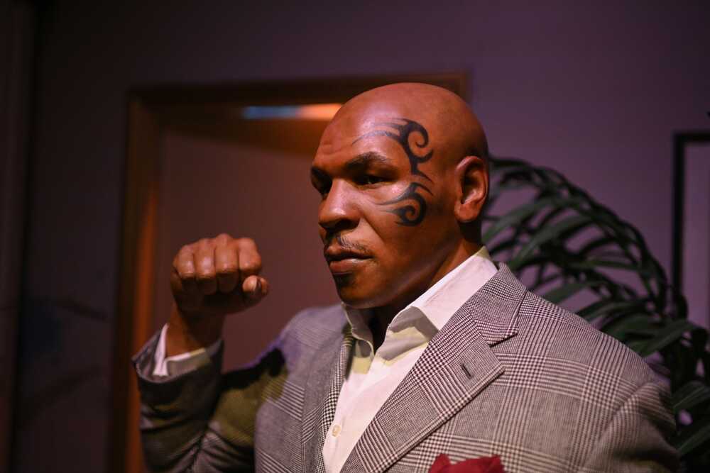 Super Bowl Shocker: Mike Tyson’s 350-Pound Confession | DC Watchdog